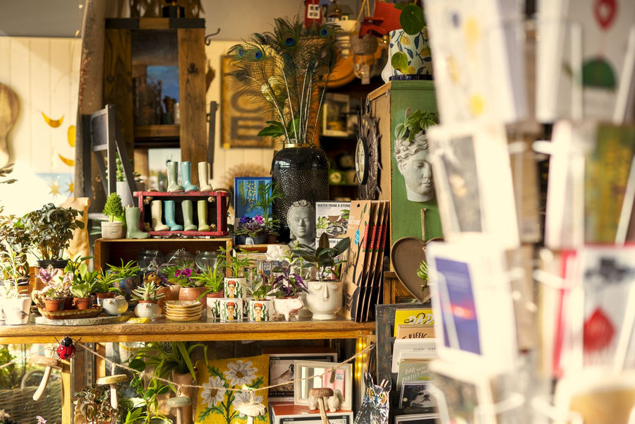 Shop All | Steeling Home