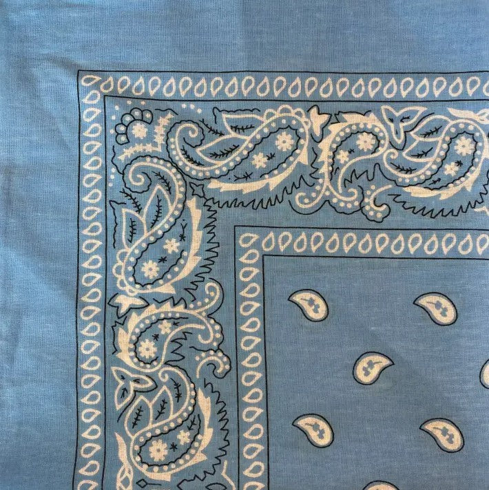 Paisley Patterned Bandanas – Steeling Home
