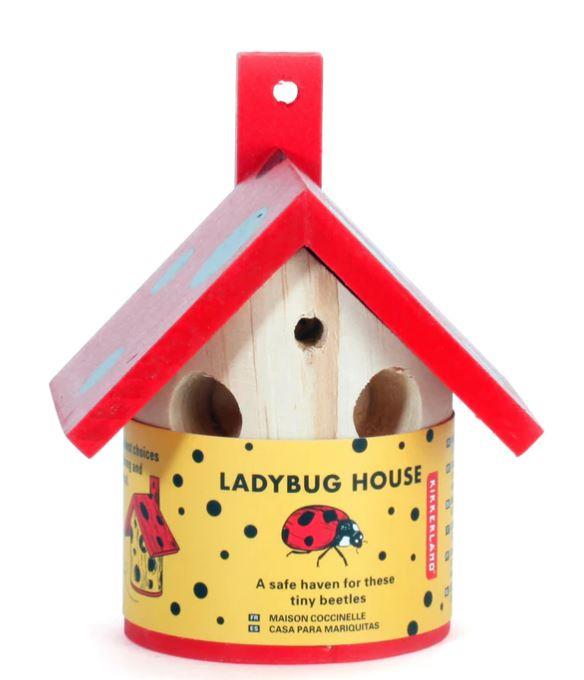 Ladybug House | Steeling Home